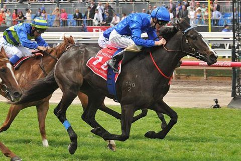 How to win Black Type Races - Buy a Domesday Filly!! - Cadet Lodge ...