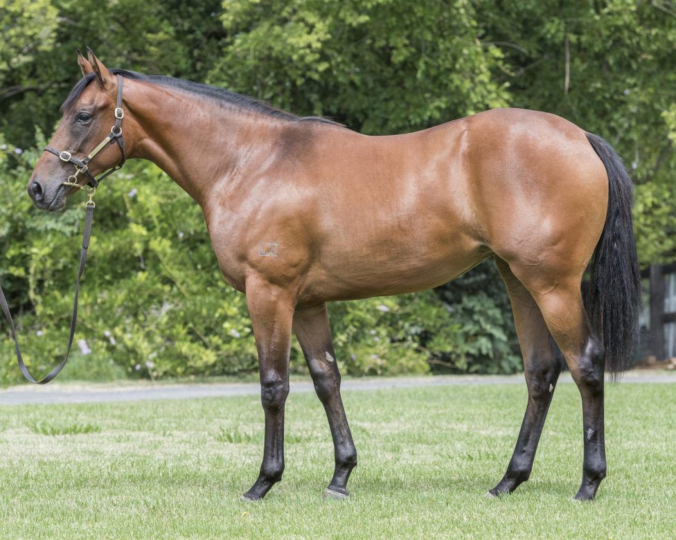 Footage of the New Stables - Cadet Lodge - Greg Eurell