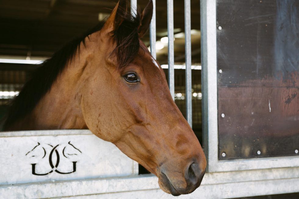 Big Phils' Win Gives Us All The Pheels - Cadet Lodge - Greg Eurell
