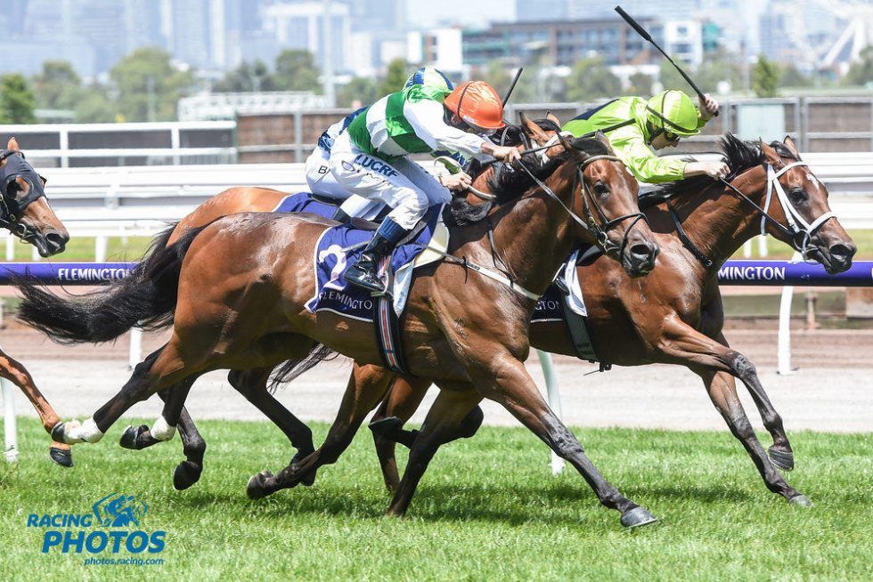 GREG EURELL HOPES MATURITY WILL MAKE A HORSE OF O’TAUTO - Cadet Lodge ...