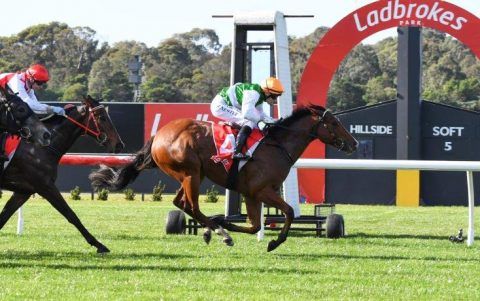 Ilovethegame too good on debut at Sandown - Cadet Lodge - Greg Eurell