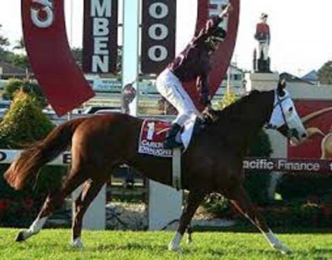 Gallery - Cadet Lodge - Greg Eurell