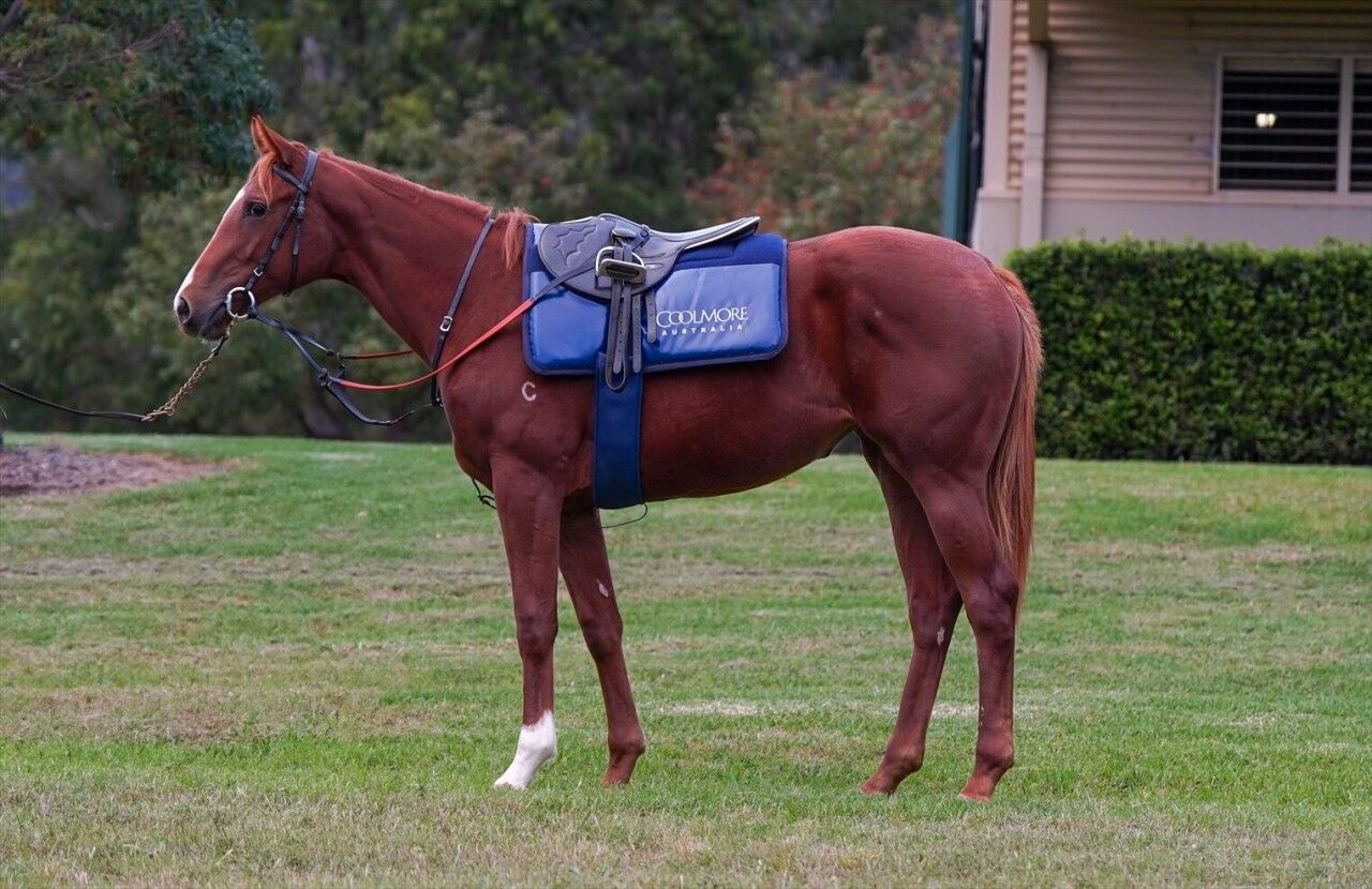 Rubi's Choice - Cadet Lodge - Greg Eurell