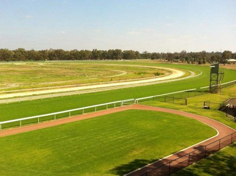 Pinjarra Park To Host 3 Ben Pearce Runners On Wednesday - Pearce Racing