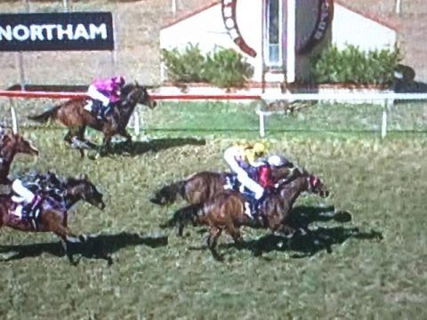 Gigidy Gigidy Goo Arrives Late To Land Third At Northam - Pearce Racing