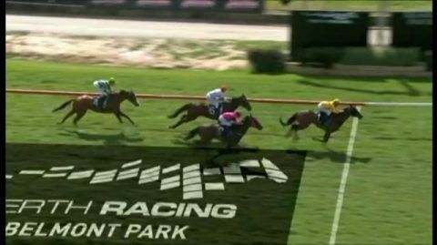 Gigidy Gigidy Goo Runs On Nicely To Run 2nd At Odds - Pearce Racing