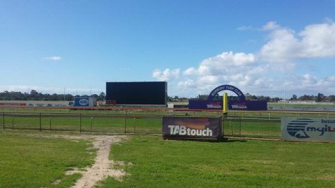 Gigidy Gigidy Goo And Bomber Bay To Represent The Stable At Bunbury ...
