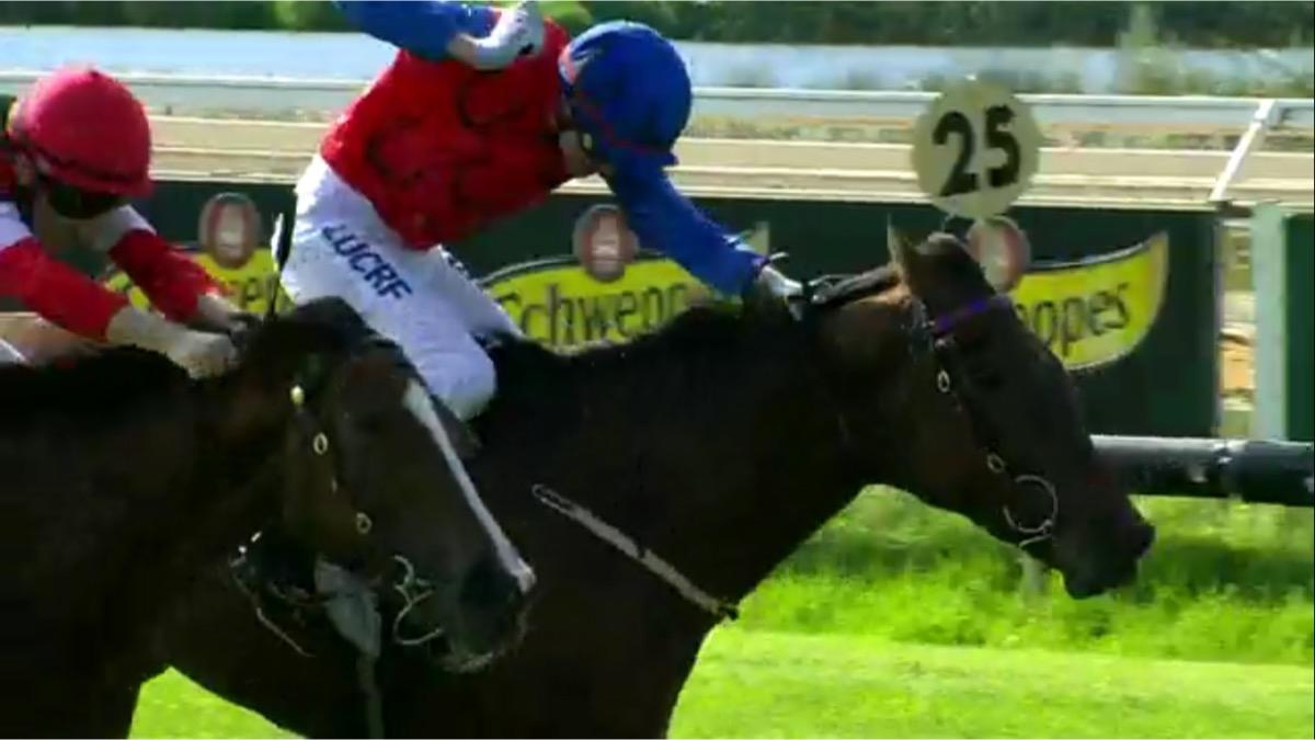 Time To Hunt Goes Back-To-Back Wins For Connections - Pearce Racing