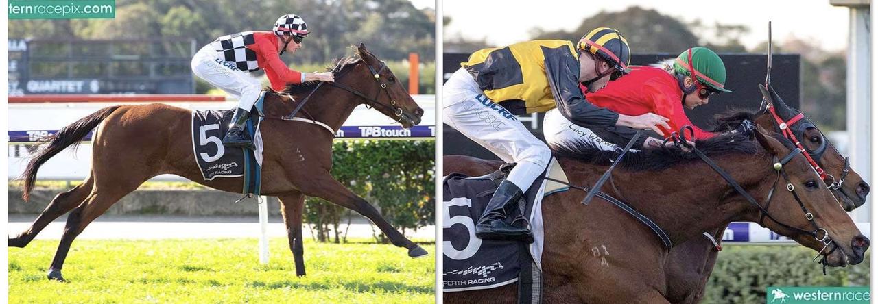 Pearce Racing round out 2018/19 season with winning double - Pearce Racing