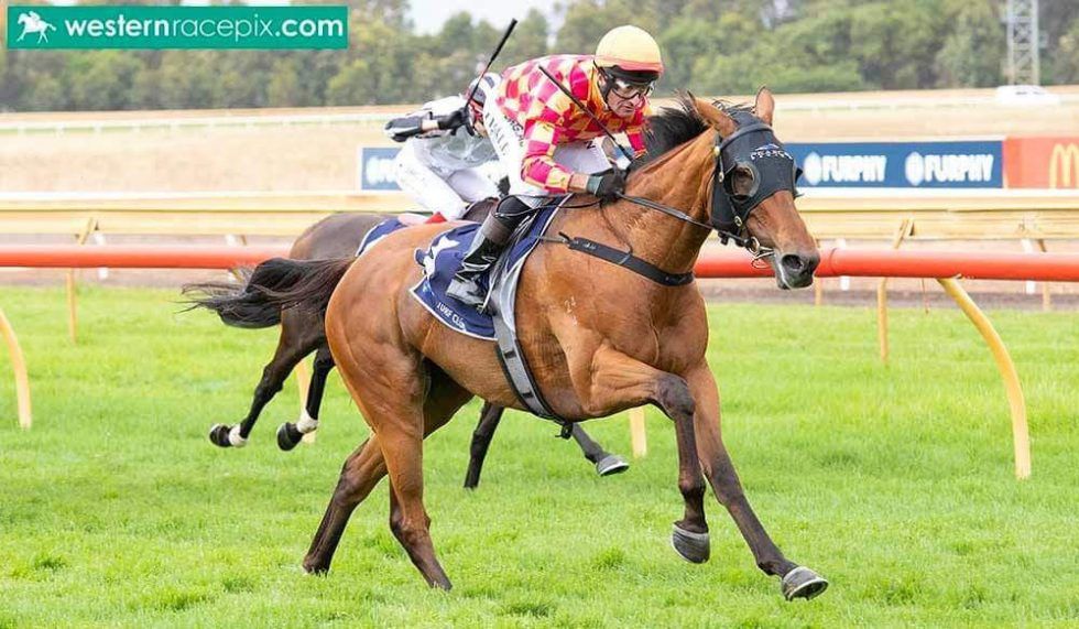 Friar's Fantasia remains unbeaten at Bunbury - Pearce Racing