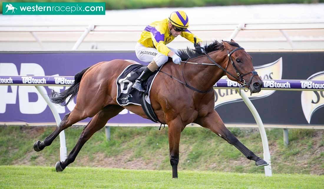 Cliff Wins Comfortably Again - Pearce Racing