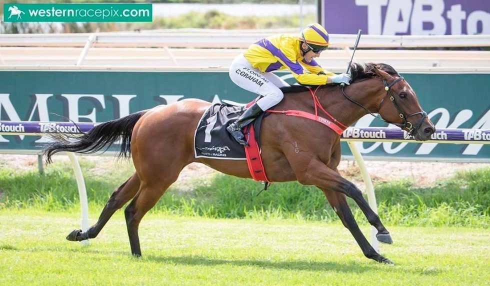 Winning hat-trick for Cliffs Of Comfort - Pearce Racing