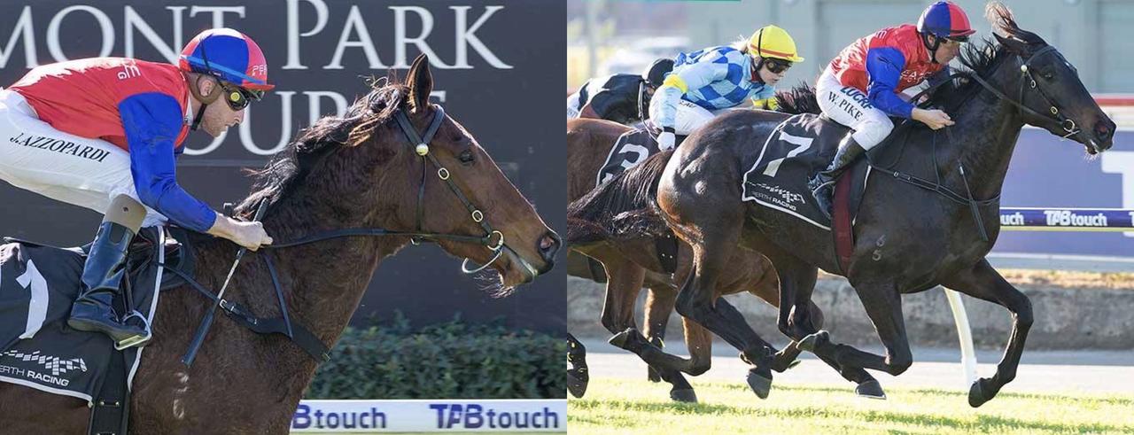 Belmont double for Pearce Racing - Pearce Racing