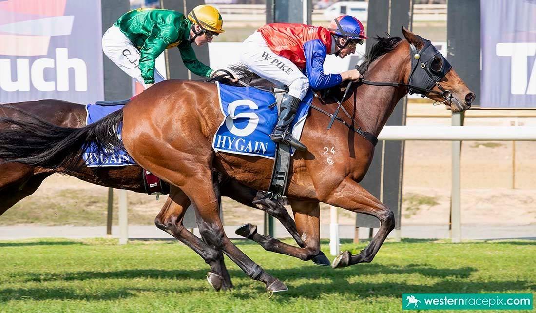 Black Lightning breaks maiden status second-up - Pearce Racing