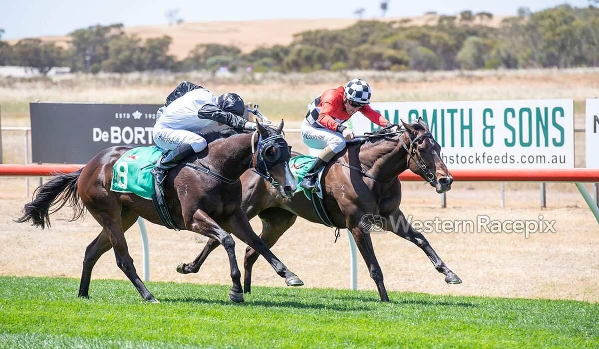 Life For A Life lands first win - Pearce Racing