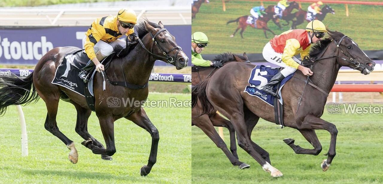 Pearce Racing double on Melbourne Cup day - Pearce Racing