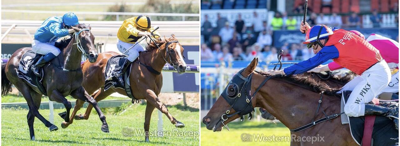 Pearce Racing double at Ascot - Pearce Racing