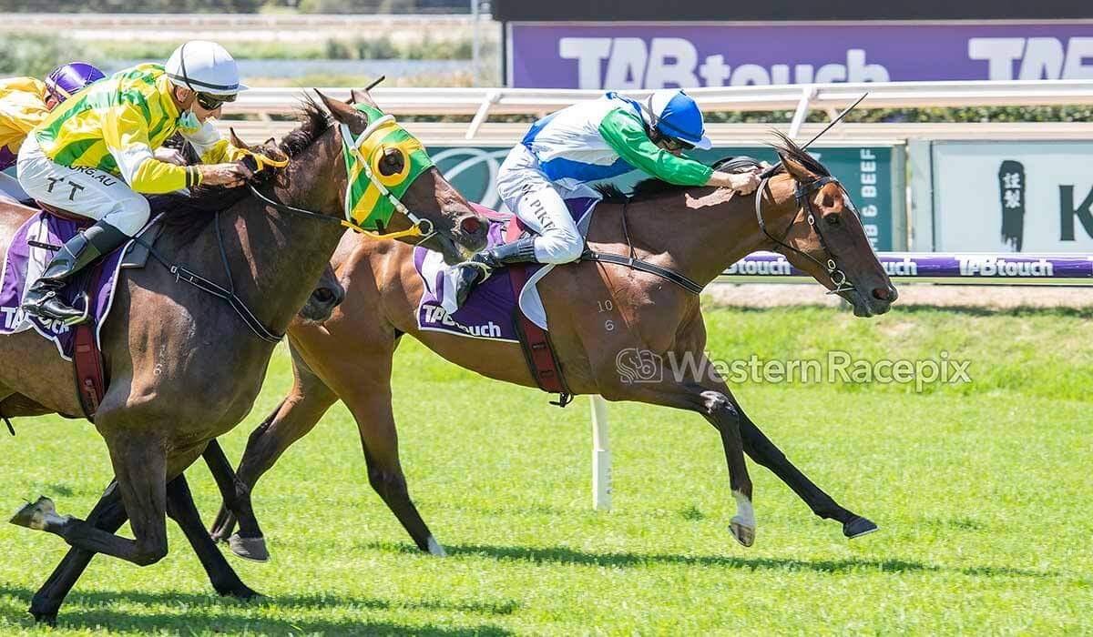 Hot Technique wins second-up - Pearce Racing