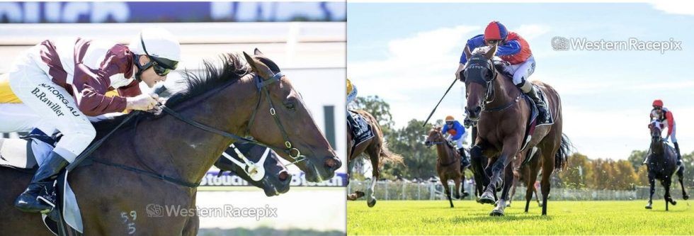 Dig Deep highlights big day for Team Pearce - Pearce Racing