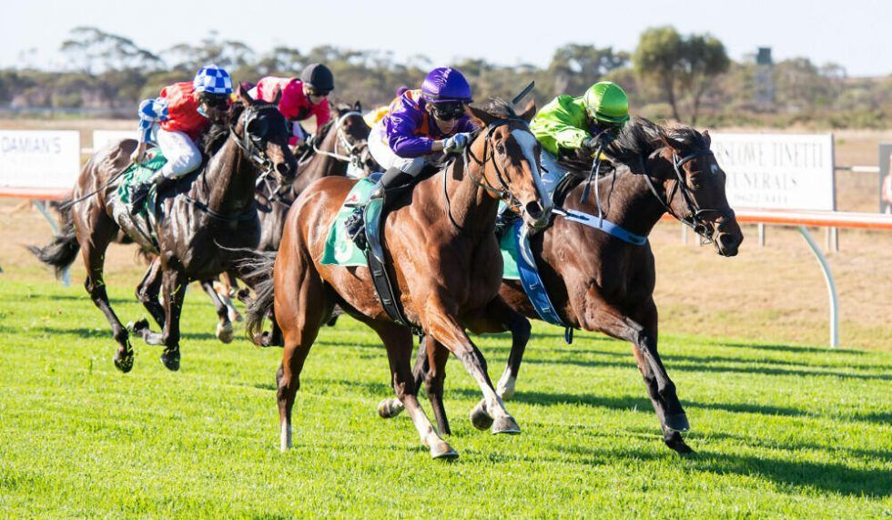 Speedbird lands successive wins - Pearce Racing