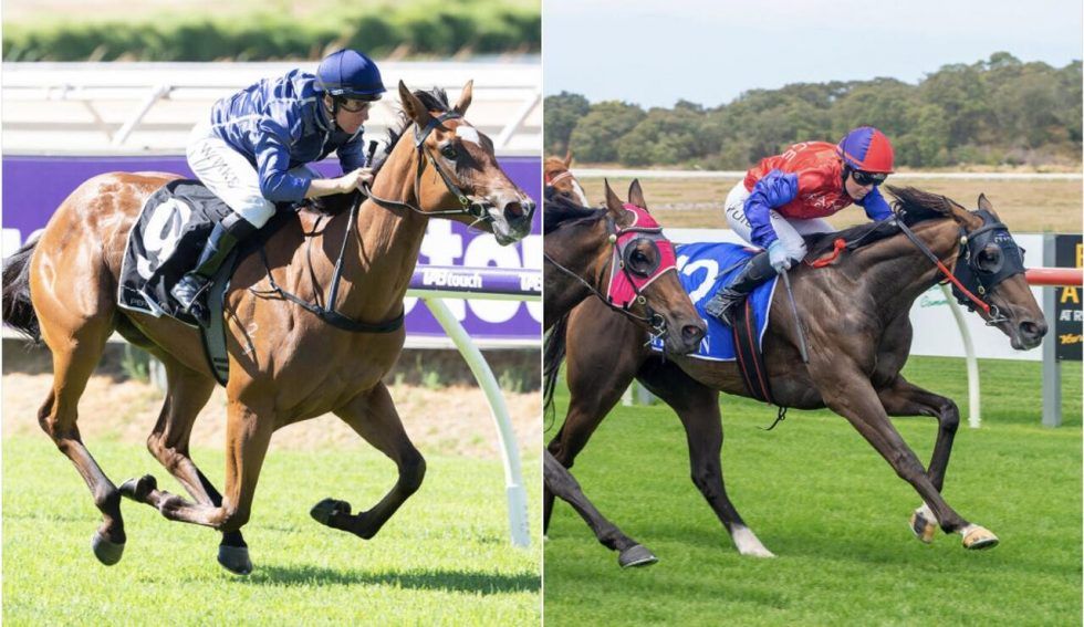 Cross-town double for Team Pearce - Pearce Racing