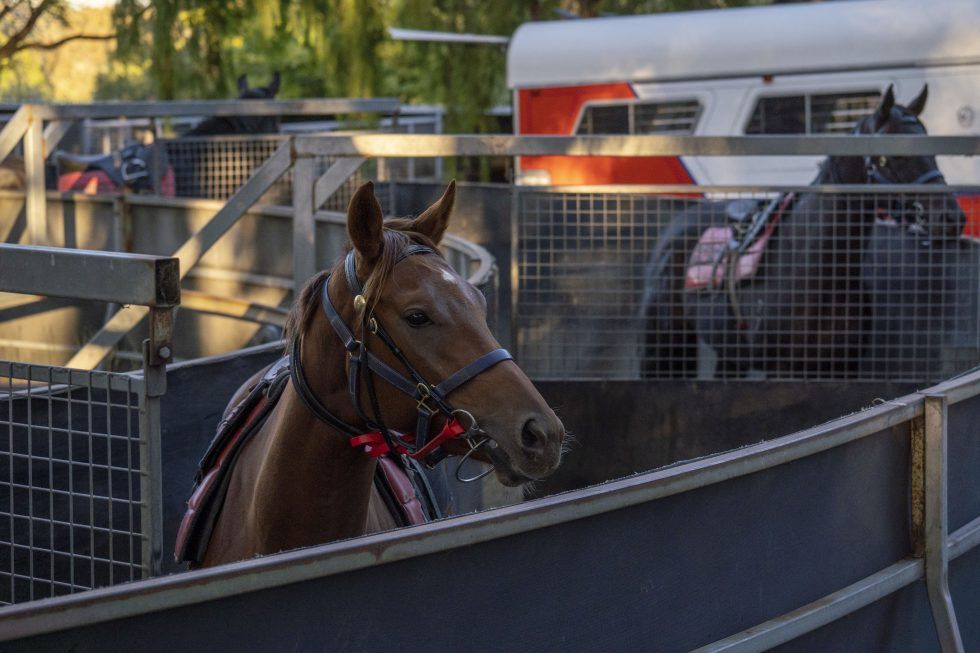 FACILITIES - Pearce Racing