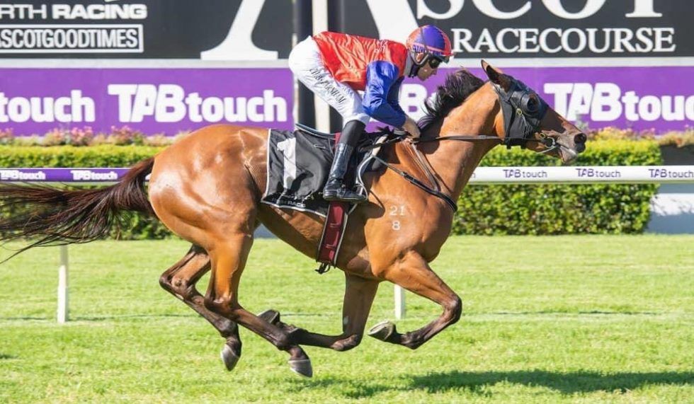 HOME - Pearce Racing