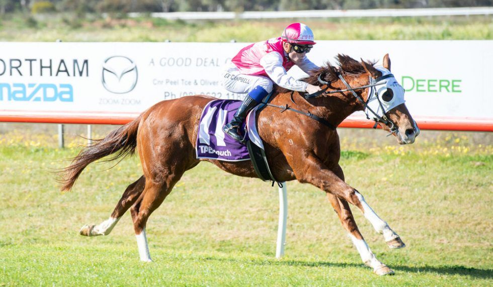 Treble brings up Pearce Racing's 250th win - Pearce Racing