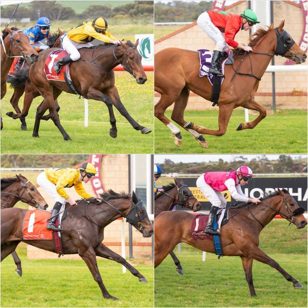 Six winners in two days for Team Pearce - Pearce Racing