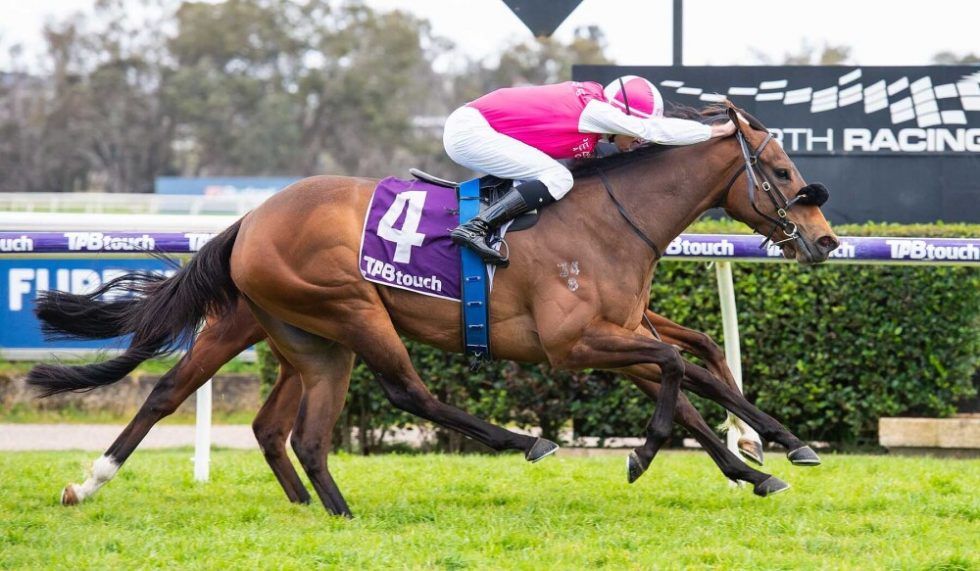 Defending continues hot form - Pearce Racing