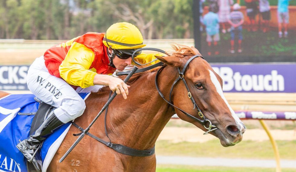 Deep Envy produces her best at Pinjarra - Pearce Racing