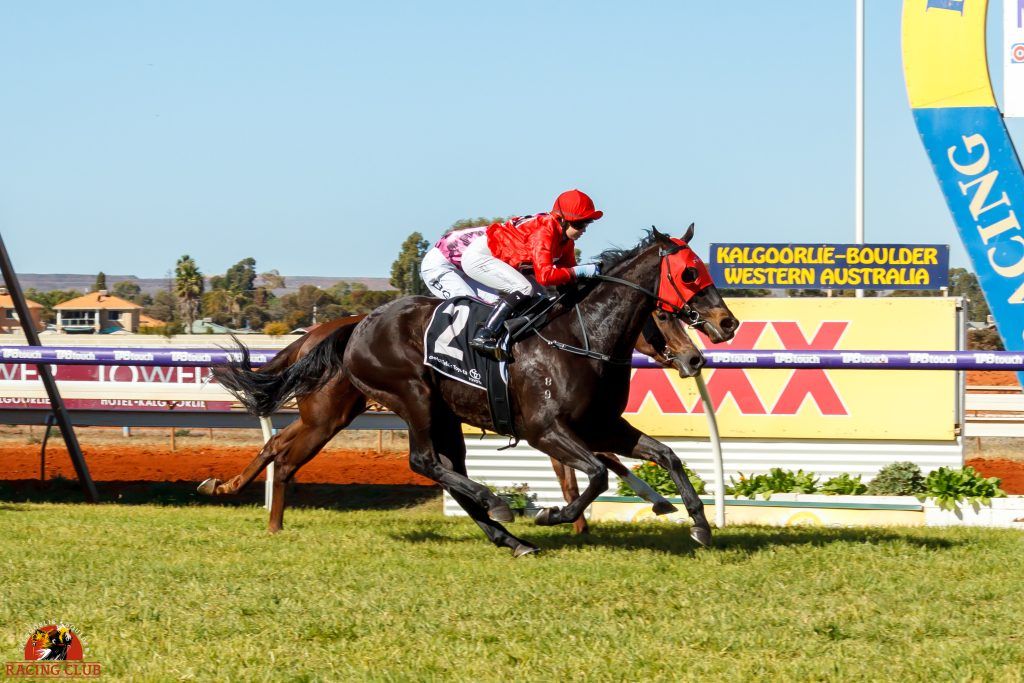 All Brave wins on debut - Pearce Racing