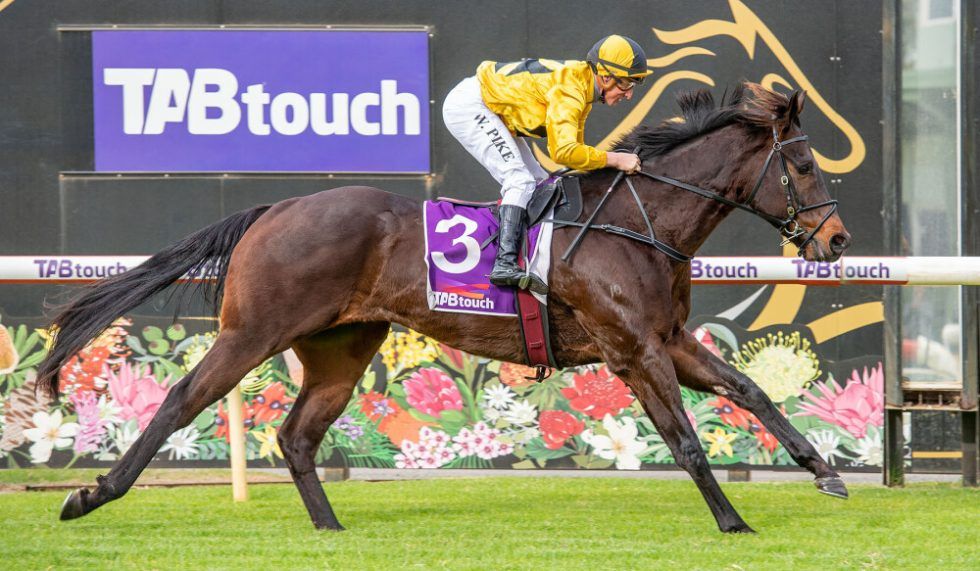 Triple Jay produces brilliant Pinjarra performance - Pearce Racing