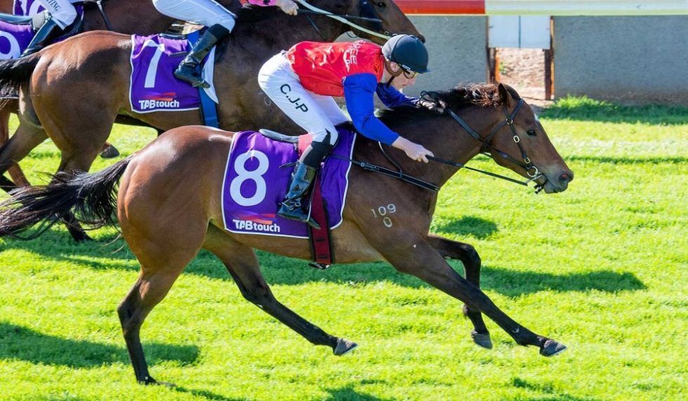 York double for Team Pearce - Pearce Racing