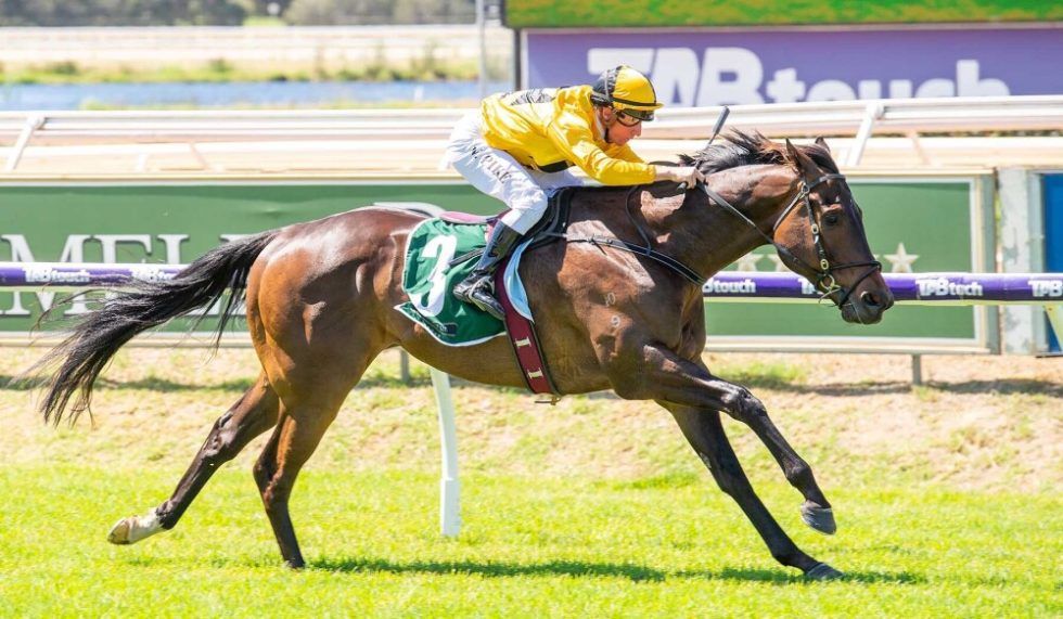 First Saturday win for Triple Jay - Pearce Racing