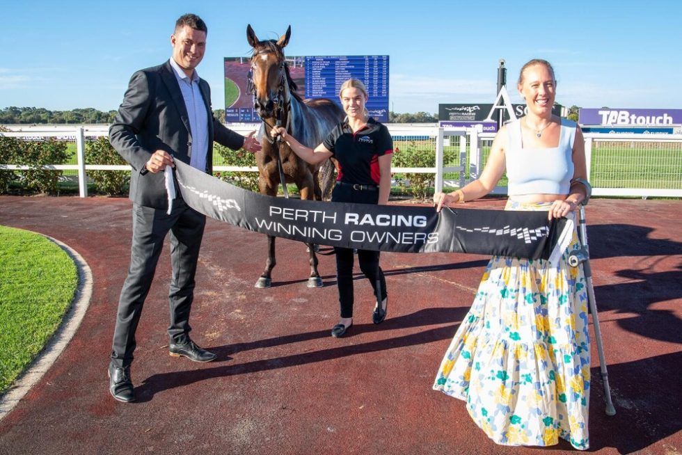 Lord Vampi takes out JC Roberts Stakes - Pearce Racing