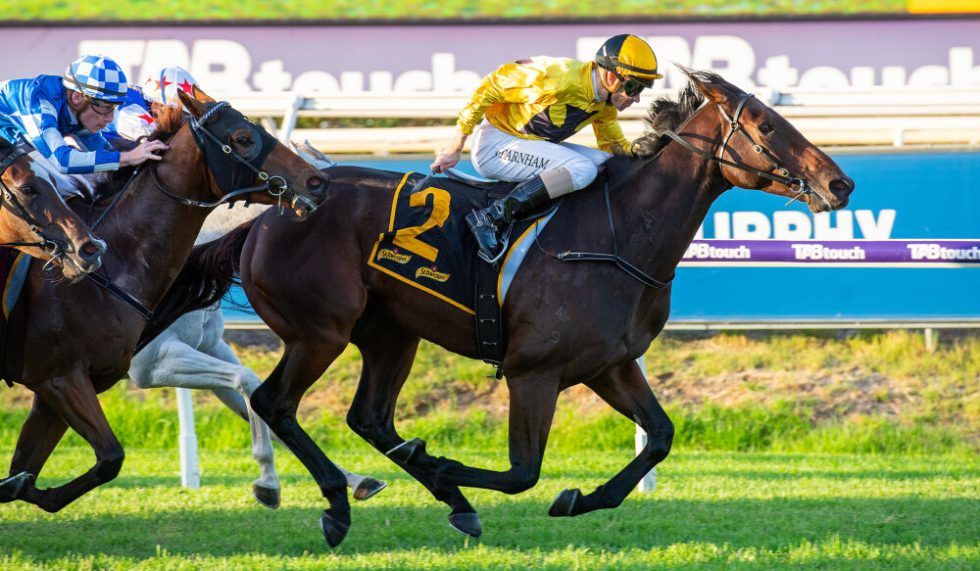 50th win for Pearce Racing in 2023/24 season - Pearce Racing