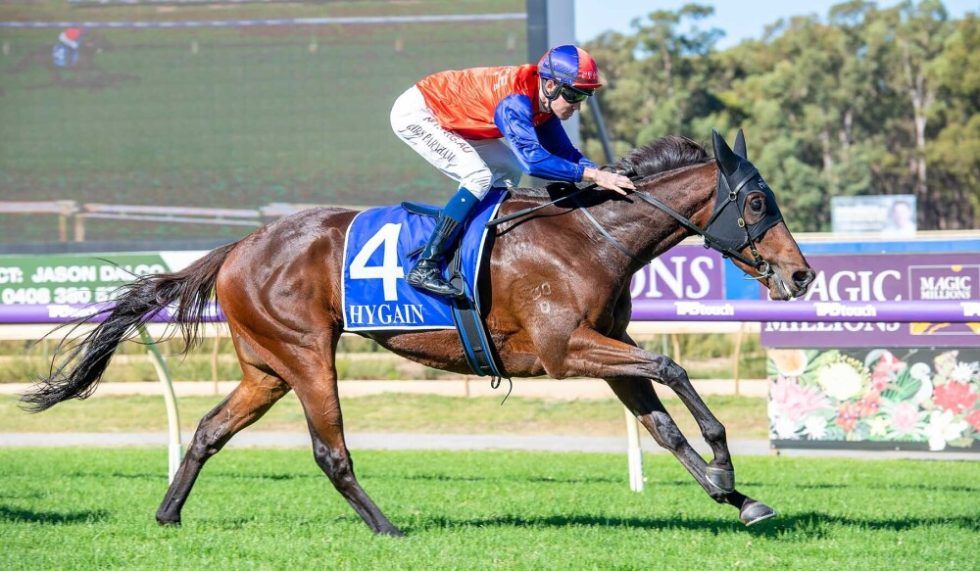 Pinjarra double for Team Pearce - Pearce Racing