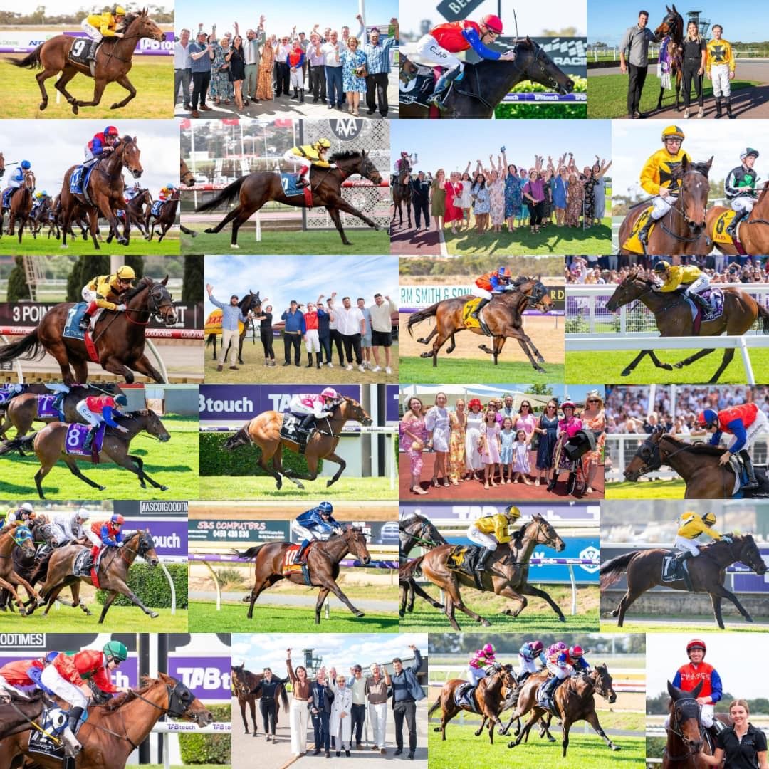 NEWS - Pearce Racing