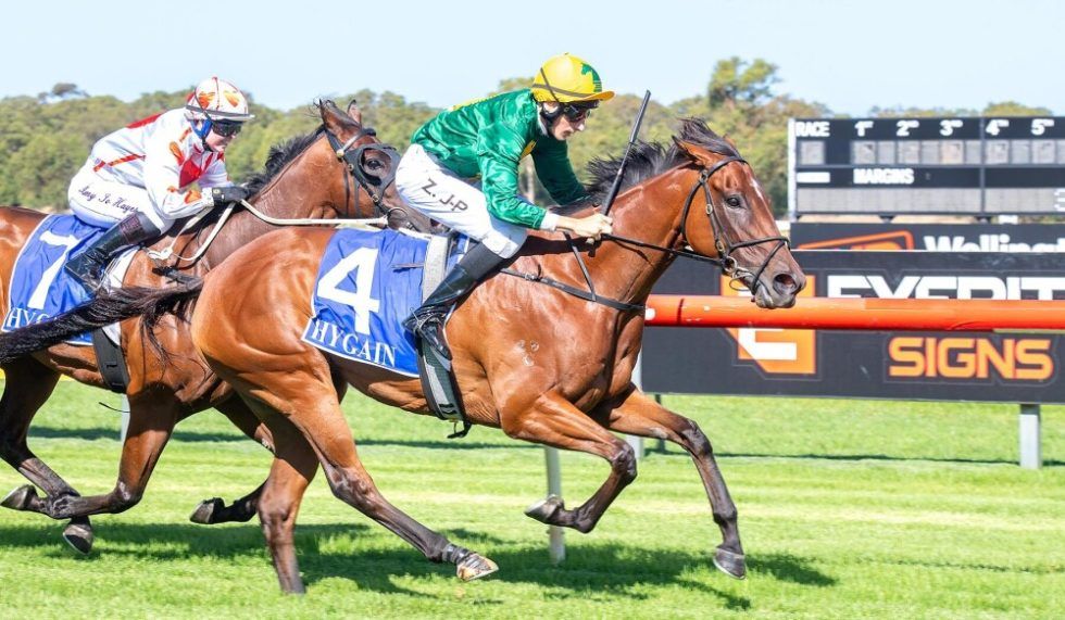 Platinum Shot salutes first up - Pearce Racing