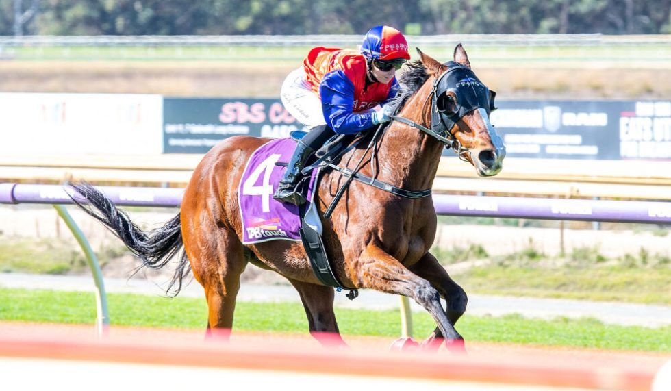 Pinjarra double for Team Pearce - Pearce Racing