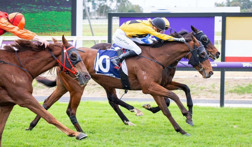 First Saturday win for Famous Dain - Pearce Racing
