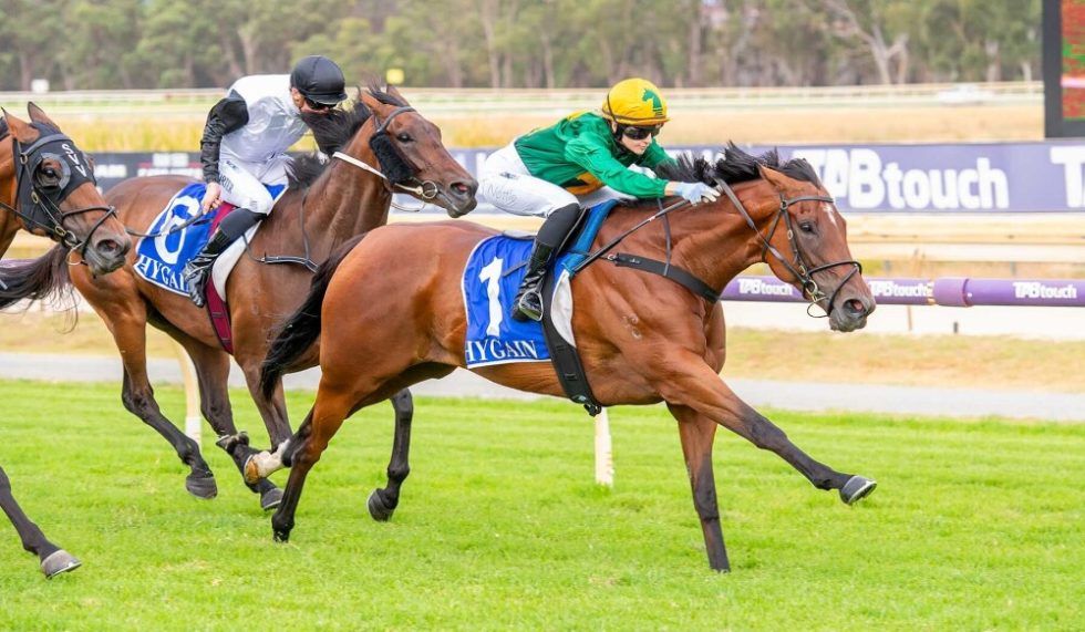 Half a dozen for Platinum Shot - Pearce Racing