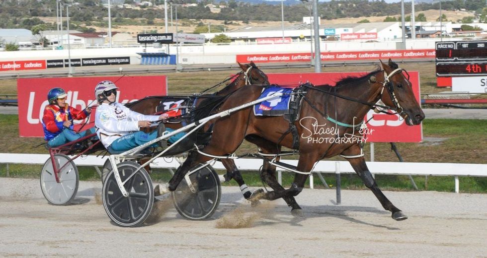 Horses Available - Aaron Bain Racing