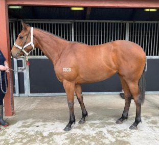 Home - Aaron Bain Racing