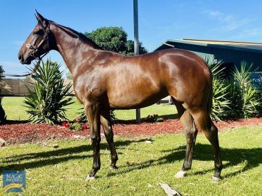 Home - Aaron Bain Racing