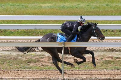 Home - Aaron Bain Racing