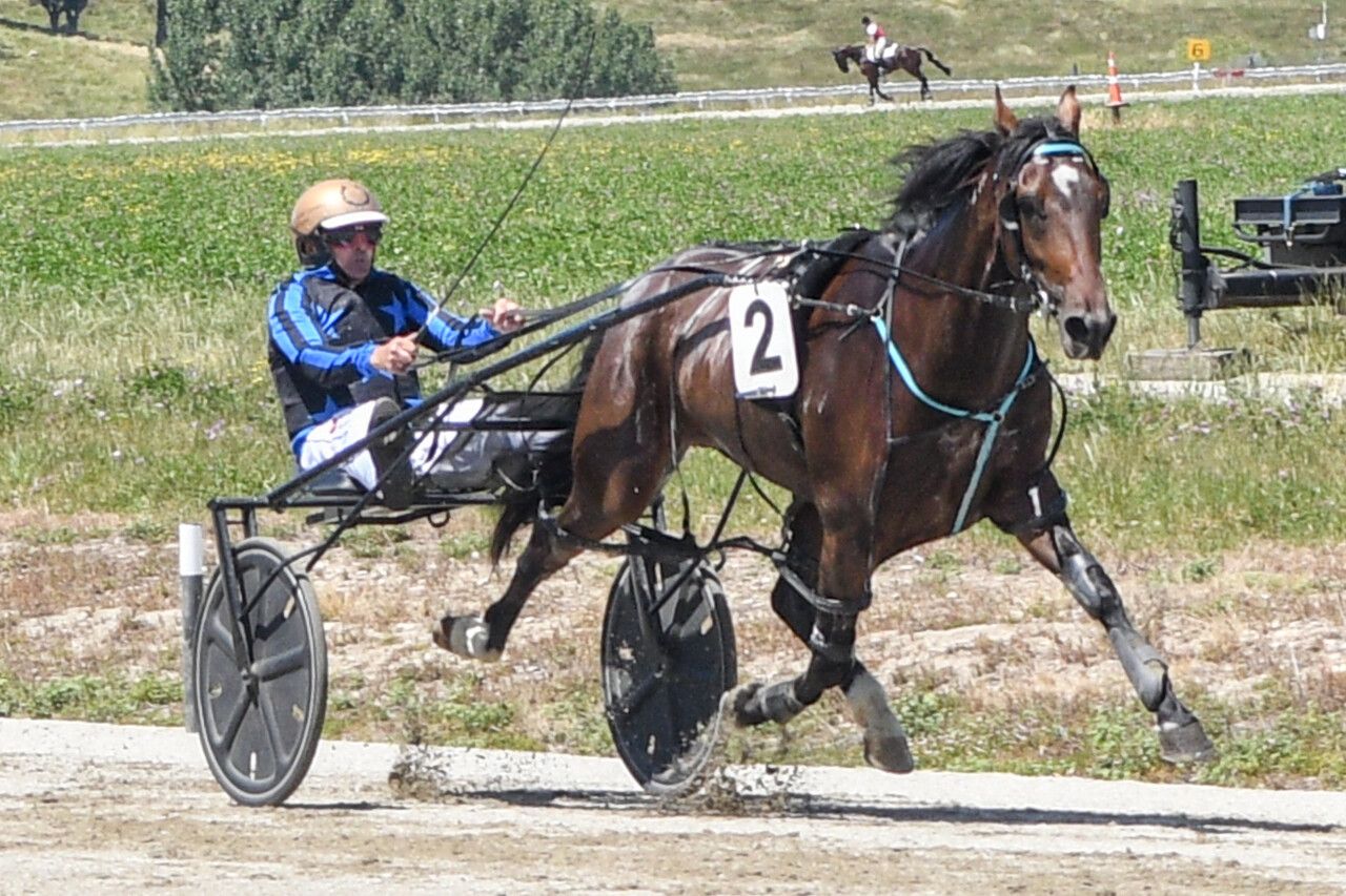 New New Zealanders - Aaron Bain Racing