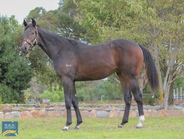 Home - Aaron Bain Racing