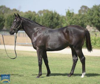 Home - Aaron Bain Racing